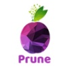 Prune Introduces Comprehensive One-Stop Solution for Mobile Connectivity