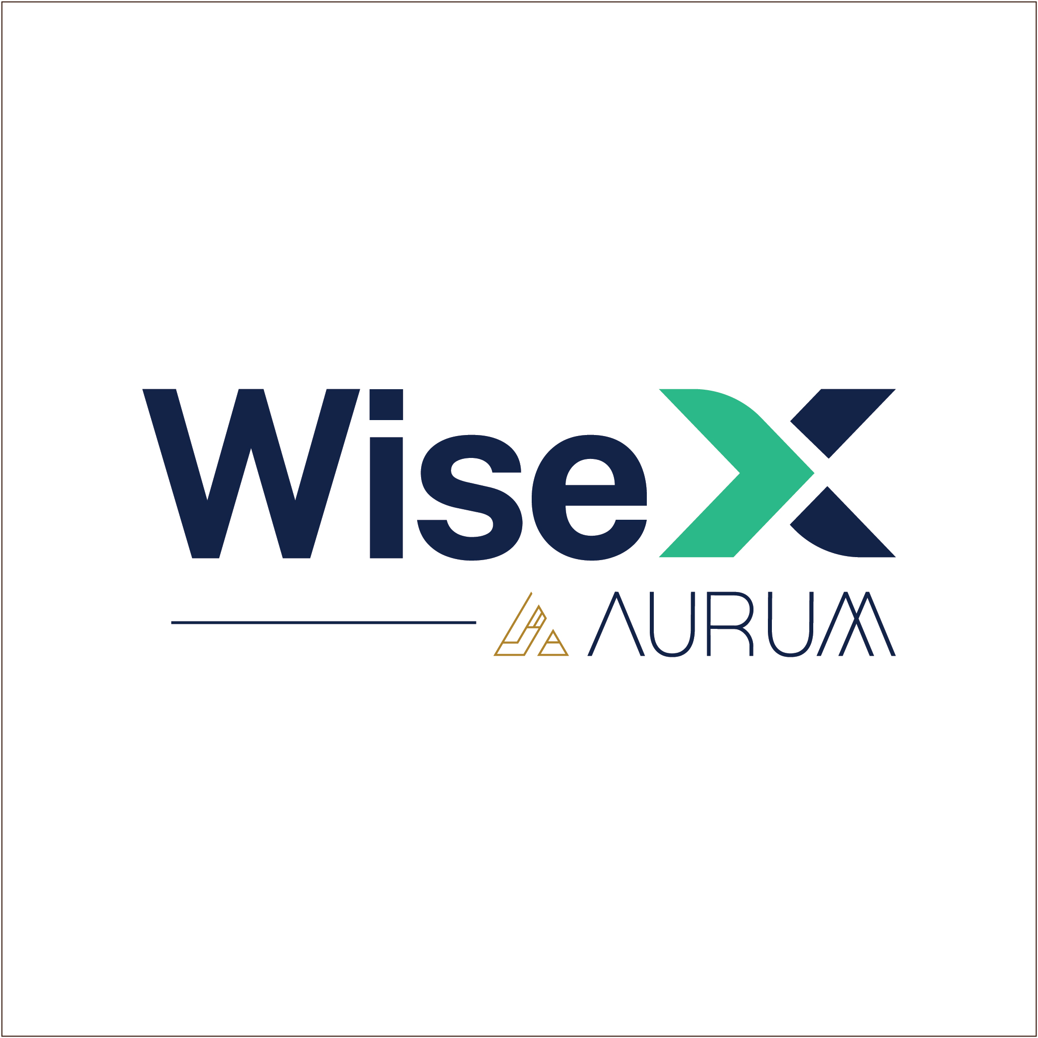 WiseX Embarks on Expansion Spree, Plans to Triple its Workforce in 2024