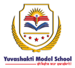 Yuvashakti Model School Students Shines Bright with 100% Success in ...