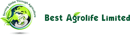 Best Agrolife Delivers Strong Q2 FY25 Performance with Enhanced ...